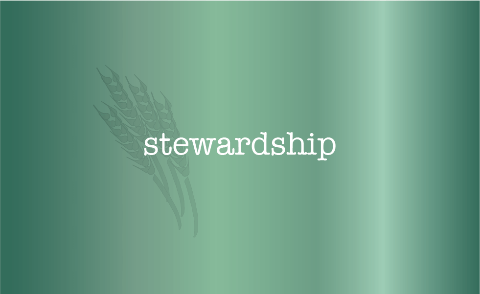WANTED: Responsible Stewards – A DOSE OF GOD TODAY